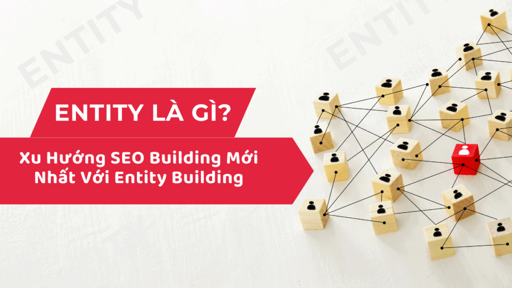 Entity Là Gì? Hướng Dẫn Để Xây Dựng Entity Hiệu Quả